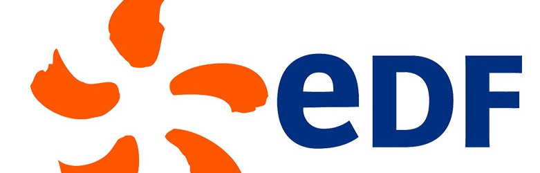 Edf Entreprise Logo